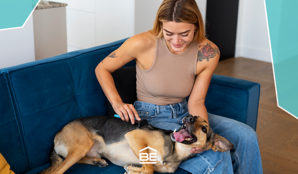 How to Find Pet-Friendly Rentals in Malta: A Comprehensive Guide | Ben ...